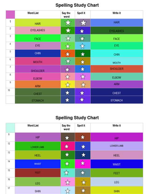 Spelling Chart Your Bodyalgcptg1 Pdf Foot Human Leg