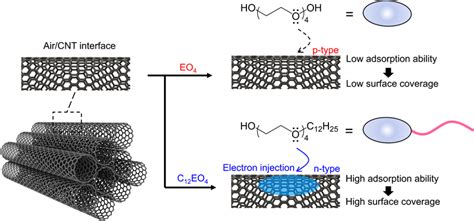Schematic Diagram Of Electron Injection Associated With Adsorbed C12eo4