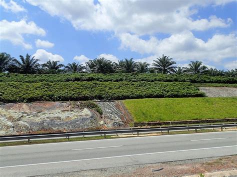 Lisa Hepler Posted On Linkedin