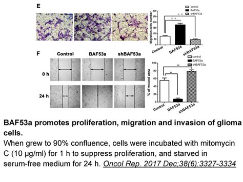 Mitomycin C Dna Crosslinker Apexbio
