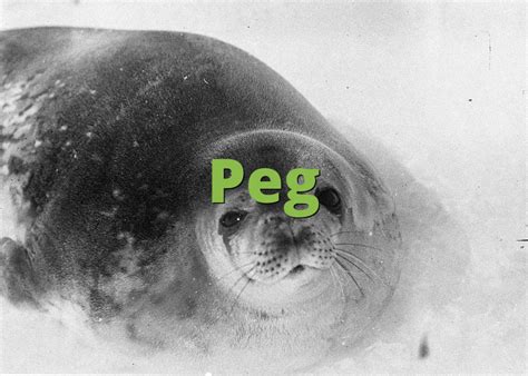 Peg Meaning