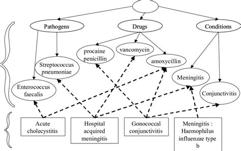 Medical Guideline Dynamic Taxonomy Example Download Scientific Diagram