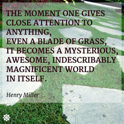 Observation Quotes Inspirational Quotes About Observation