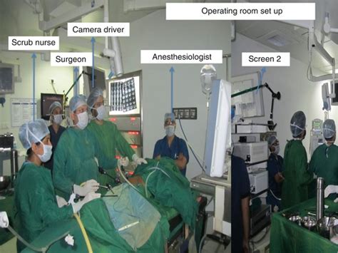 Laparoscopic Left Donor Nephrectomy Transperitoneal Approach