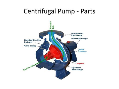 The Complete Guide To Understanding Lmi Pump Parts Diagram And Function