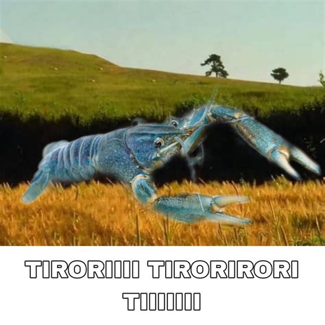 Sam Va Lentin R Samvalentin