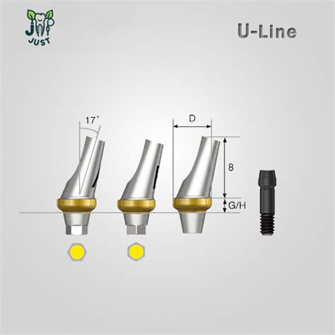 Understanding Abutment Types Functions And Benefits Dentistry