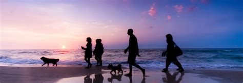 Eap Services Employee Assistance Program