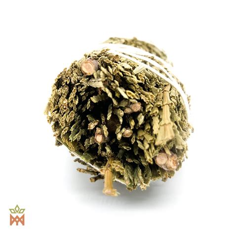 Libocedrus Decurrens Leaves Bundle Medium Size