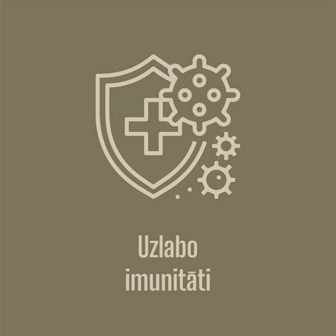 Augstākās Kvalitātes Sēņu Ekstrakti Fokuss Prātam Un Miers ķermenim Shroomium