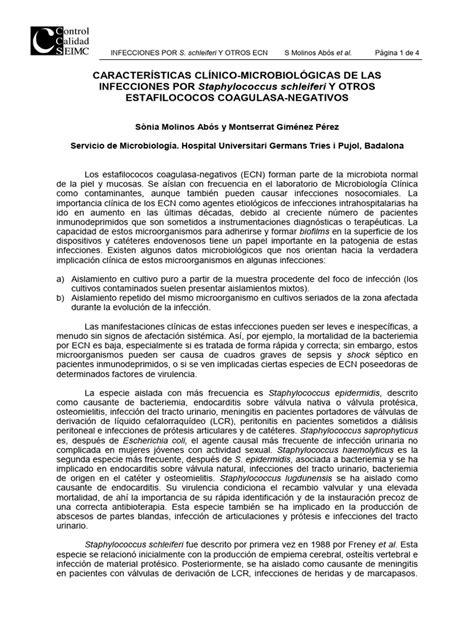 Características Clinico Morfológicas Sschleiferi Pdf Staphylococcus