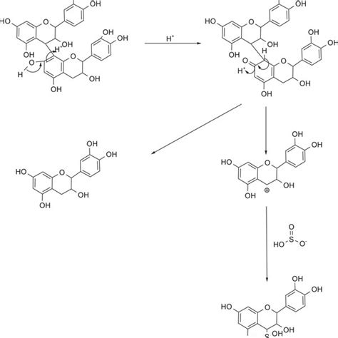 Formation Of Fe³⁺‐tannin‐bsa Complex Download Scientific Diagram