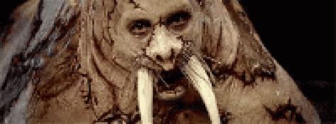 Tusk 2014 Walrus