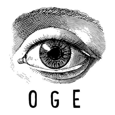Oge Digital Music And Downloads On Beatport
