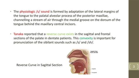 Palatal Contours Of Denture Pptx