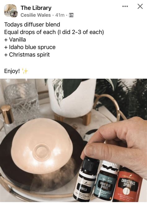 Pin By Pam Lambert Seguin On Diffuser Blends Young Living Christmas