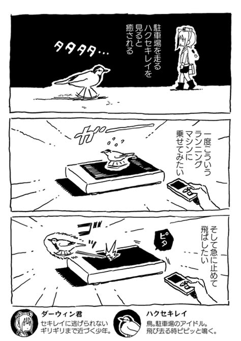 飛べ！ハクセキレイ スズメイト さんのマンガ ツイコミ仮
