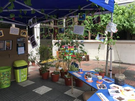 Distinguen A Escuelas Porteñas Por Proyectos Ambientales Y Sustentables