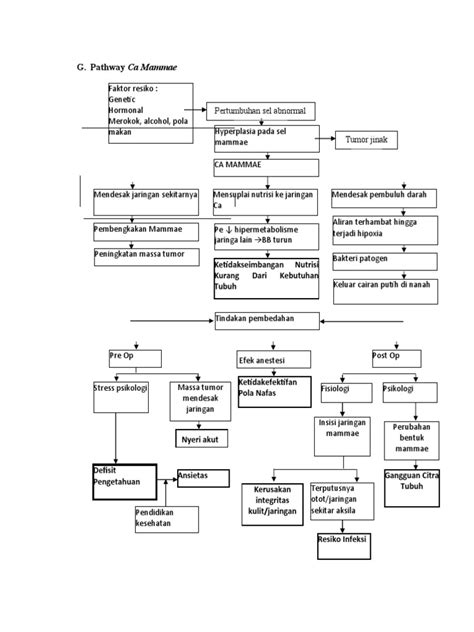 Pathway Ca Mammae Terbaru Pdf