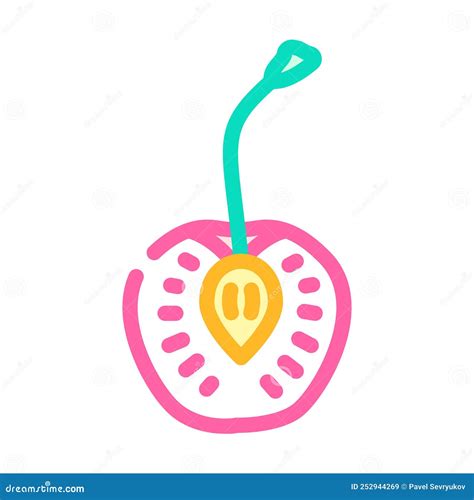 Cherry Cut Color Icon Vector Illustration Stock Vector Illustration Of Vector Pink 252944269