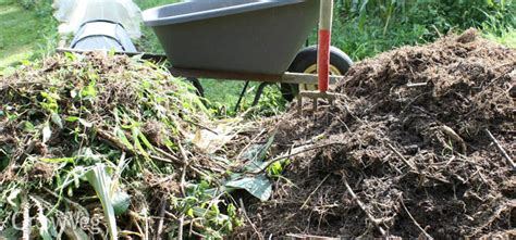 Compost Masterclass The Easy Way To Make Compost