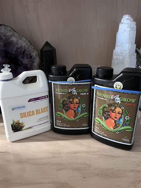 Nutrients And Substrate Ranthurium