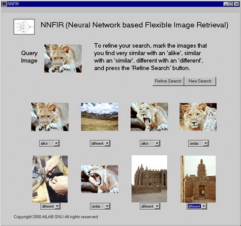Retrieval Results After The Relevance Feedback Download Scientific Diagram