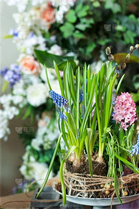 春天的花朵作为室内装饰的一部分