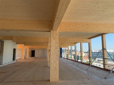 Les Avantages Du Bois Et Ses Multiples Utilisations