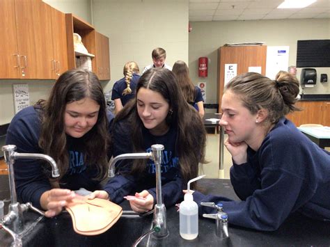 Exciting News In Sr Agnes Paulinas Principles Of Biomedical Science