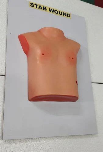 Stab Wound Forensic Models At ₹ 2500piece Forensic Science Models In