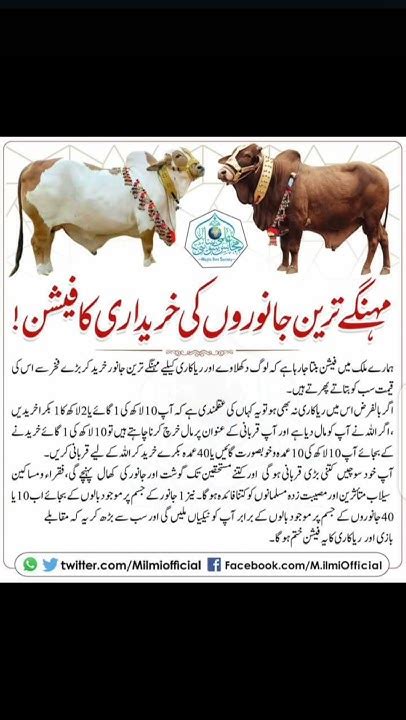 مہنگے ترین جانور خریدنے کا فیشن Youtube