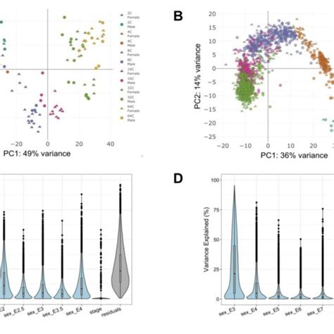 Developmental Timeline And Gene Expression Levels Between Mouse And
