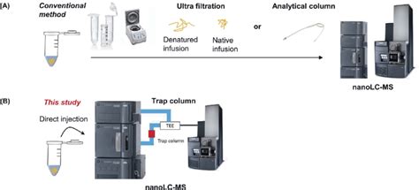 Schematic Diagram Of The Conventional Sample Preparation Method Using