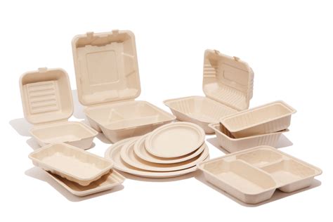 Ecocycle Biodegradable Disposable Food Packaging