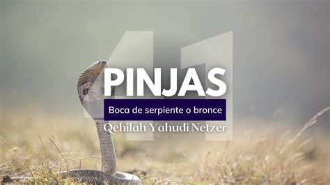 Parashat Pinjás N°41 Boca De Serpiente O Bronce 08 07 2023 Youtube