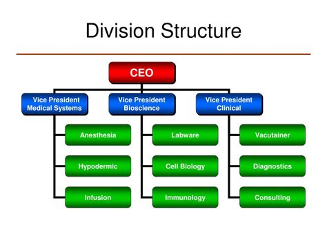 Business Division Example Divisional Organizational Structure Pdxmiv