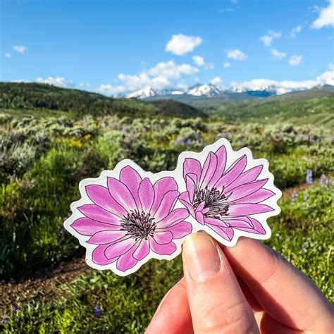 Montana State Flower Vinyl Sticker The Vibrant Bitterroot Etsy