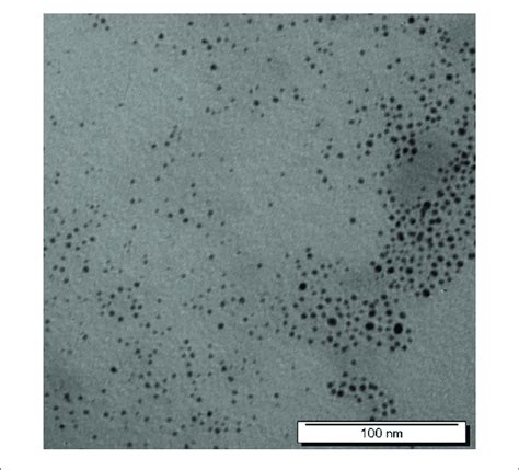 Tem Image Of Aunps Download Scientific Diagram