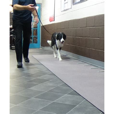 Gaitrite Pro Biometrics France