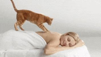 Massage S Get The Best  On Giphy