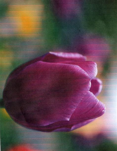 Banding Issue Artisan 710 Alignment Not Improving Issue Printerknowledge Laser 3d