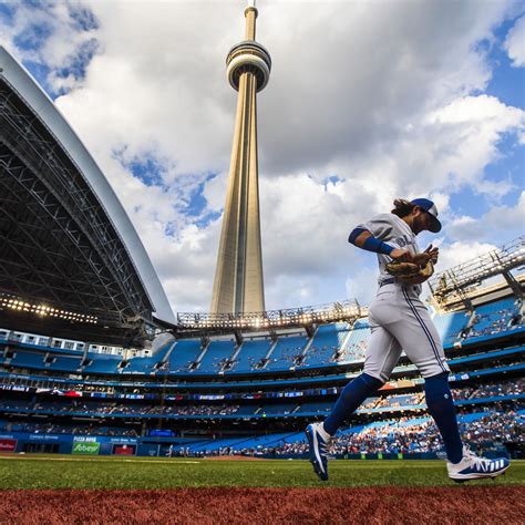 Blue Jays Wallpapers 4k Hd Backgrounds On Wallpaperbat
