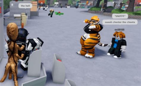 Average Roblox Experience Rdooshartpeepee