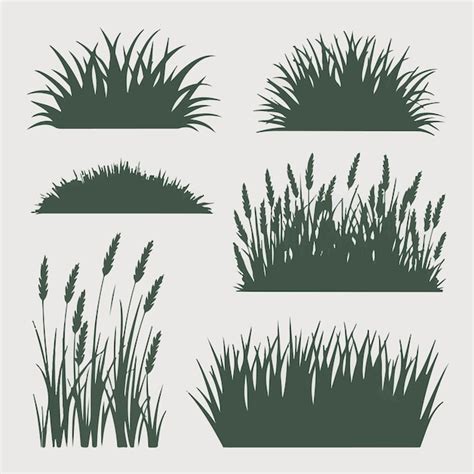 A Set Of Different Types Of Grass And Weeds Premium Ai Generated Vector