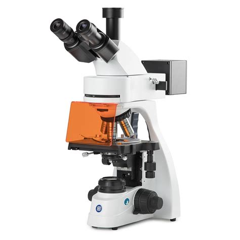 Bscope Trinocular Microscope For Fluorescence Ebs 3153 Plfi