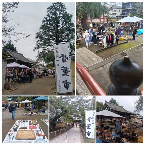 👣ぶらり👣 新井薬師骨董市 2025年11月2日 骨董を愉しむ Inaho Group稲ほ組