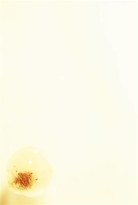 Evolution Deborah Padfield