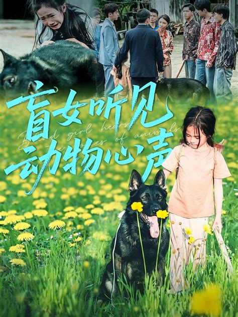 陌陌影视 在线看电影、追剧的好地方！！