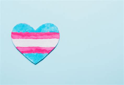 Regulating Gender The Ethical Dilemma Of Government Influence On Trans